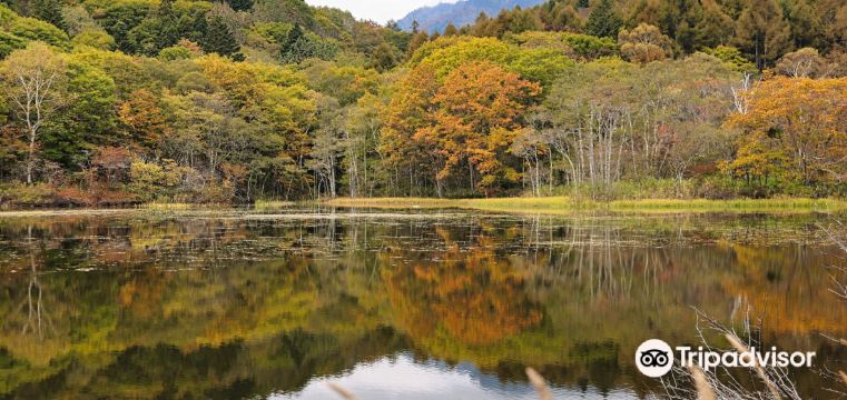 เที่ยวTogakushi (2024) - ที่เที่ยวใน Togakushi, กิจกรรมสนุกๆ, โรงแรม ...