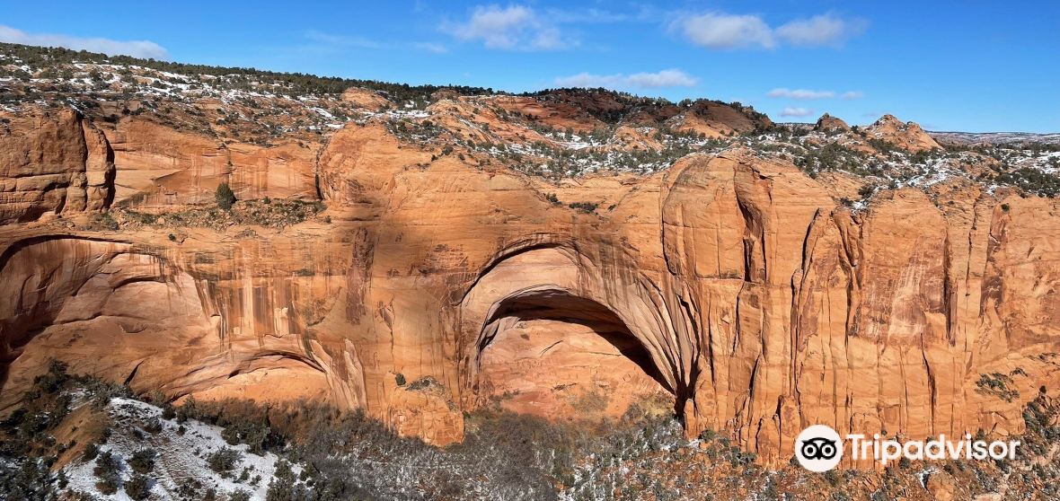 Things to do in Kayenta (2025): Top nearby activities,popular ...