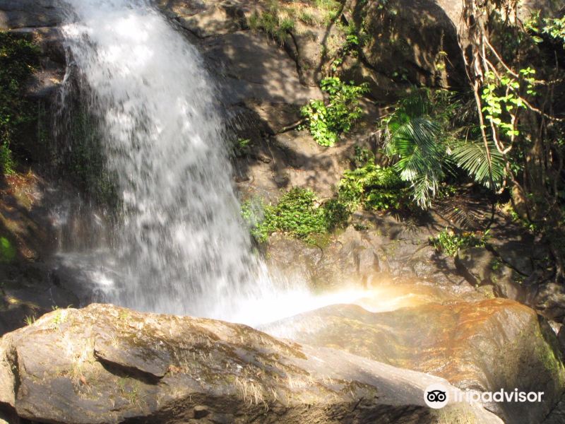パルガート प्लाविन्चुवातिल भागावाठी मंदिर周辺のおすすめホテル・人気宿を格安予約【2024年最新】 | Trip.com