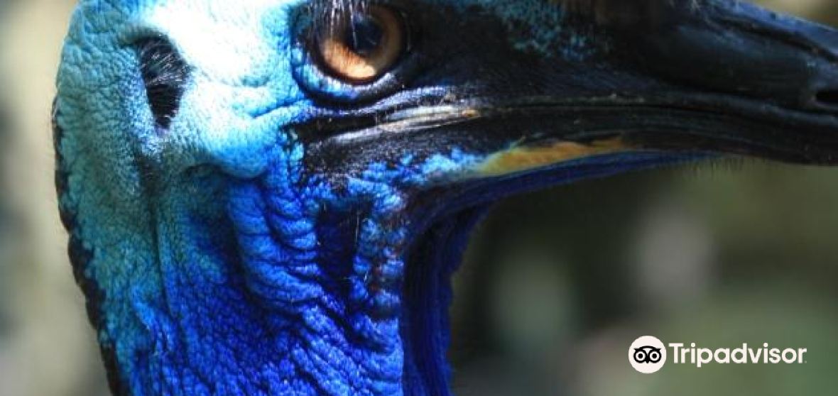 Things to Do in Julatten in 2025 - Top Attractions, Local Food, Hotels ...