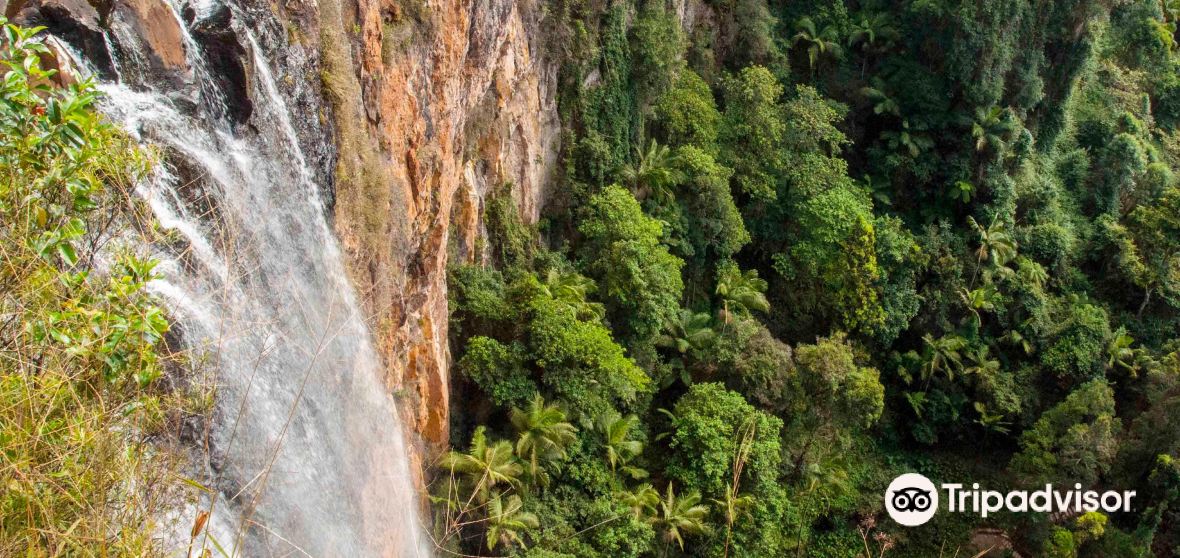 แนะนำการเดินทาง Springbrook 2024 - สิ่งที่ควรทำ, อาหารที่ควรรับประทาน ...