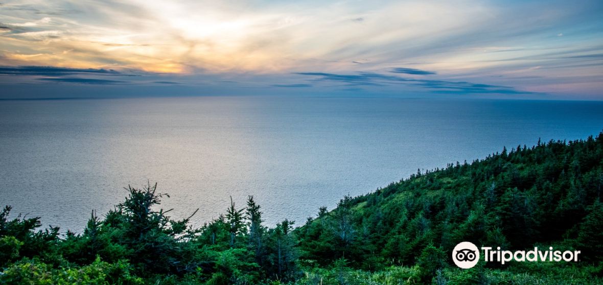 Things to do in Inverness County (2025): Top nearby activities,popular ...