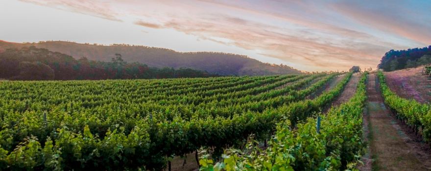 Things to Do in Moonambel in 2025 - Top Attractions, Local Food, Hotels ...