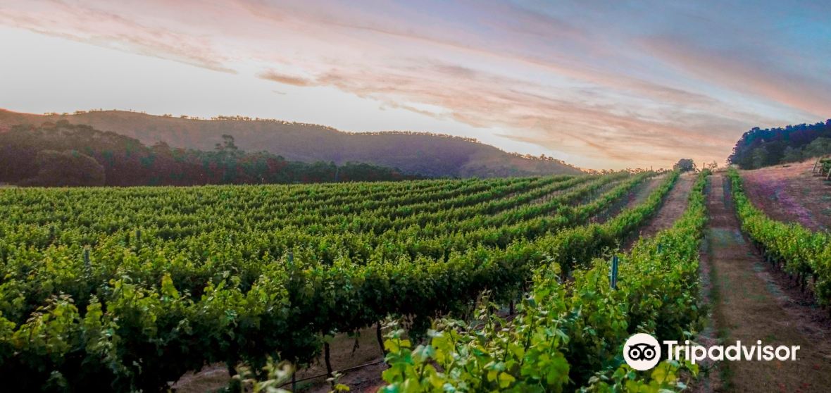 Things to Do in Moonambel in 2025 - Top Attractions, Local Food, Hotels ...