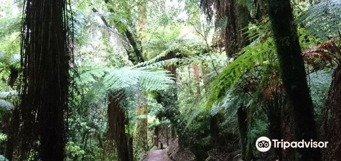 เที่ยวMinginui (2024) - ที่เที่ยวใน Minginui, กิจกรรมสนุกๆ, โรงแรม ...