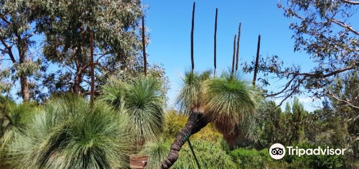 Kalorama Travel Guide 2024 - Things to Do, What To Eat & Tips | Trip.com