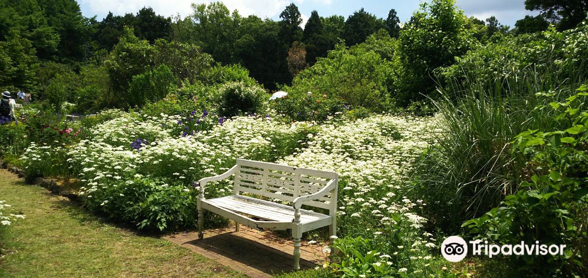 Leukste dingen om te doen in Kimitsu 2024 - Reisgidsen voor Kimitsu ...