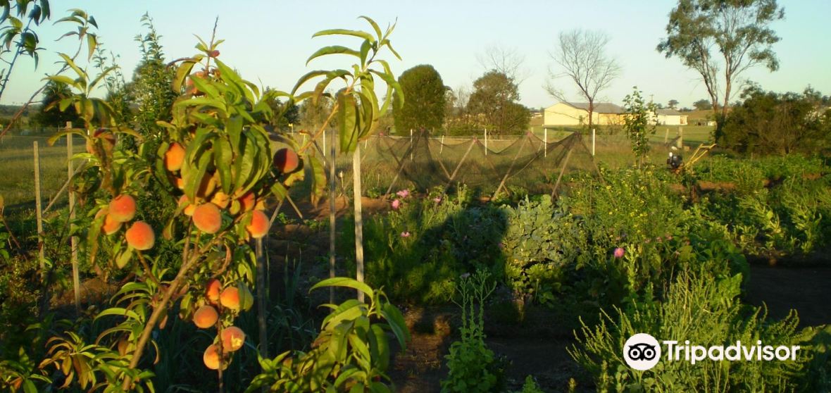 Anambah Travel Guide 2024 - Things to Do, What To Eat & Tips | Trip.com