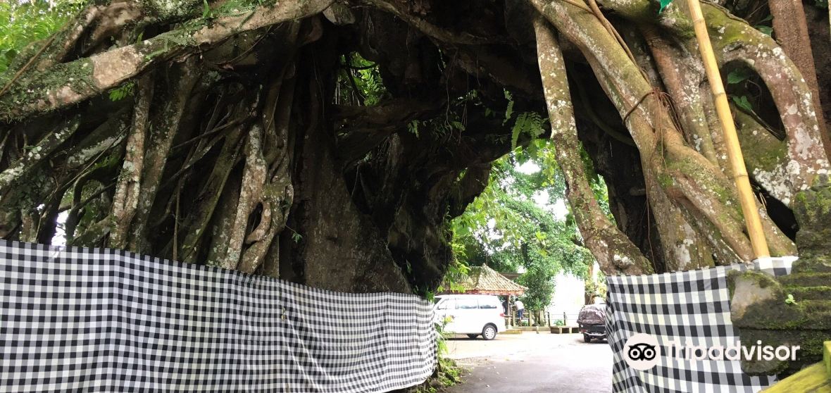 Things to do in Pekutatan (2025): Top nearby activities,popular ...