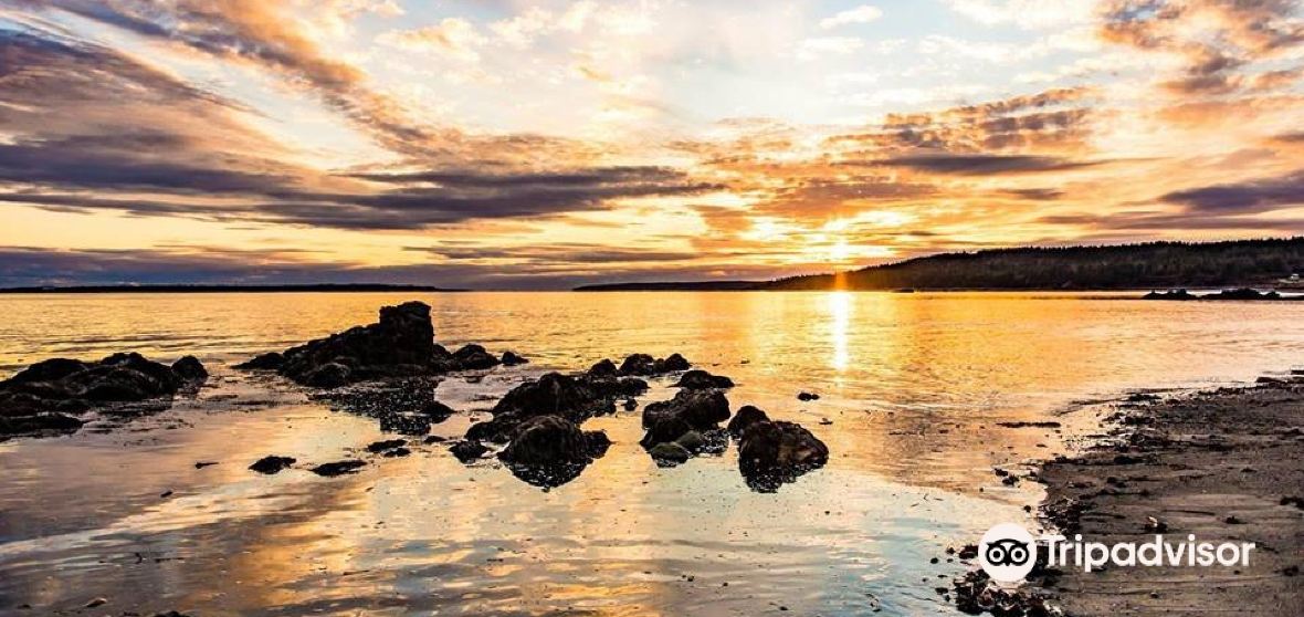 Things to Do in Grand Manan in 2024 - Top Attractions, Local Food ...