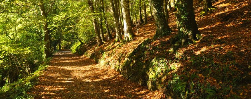 Camborne Travel Guide 2023 - Things to Do, What To Eat & Tips | Trip.com