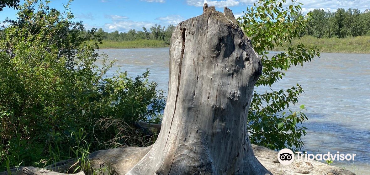 Things to Do in Vulcan County in 2025 - Top Attractions, Local Food ...