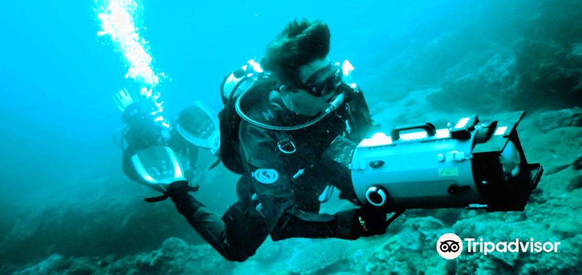 Mbazwana Travel Guide 2026: Top Attractions, Things to Do & Deals ...