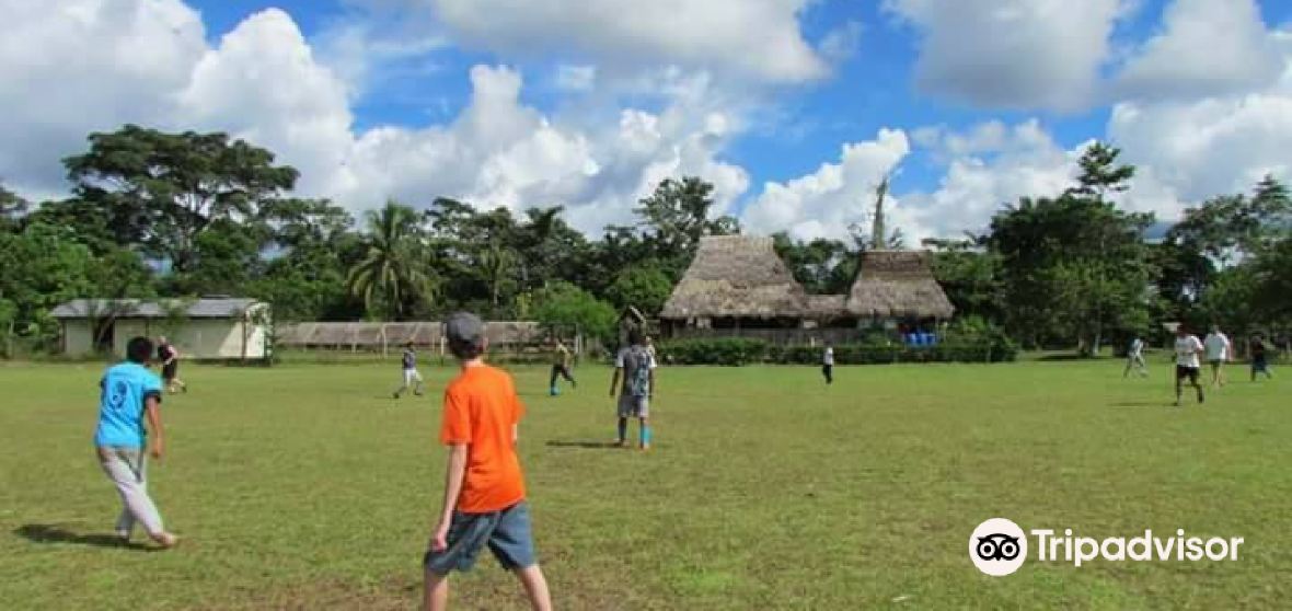 Tiputini Travel Guide 2026: Top Attractions, Things to Do & Deals ...