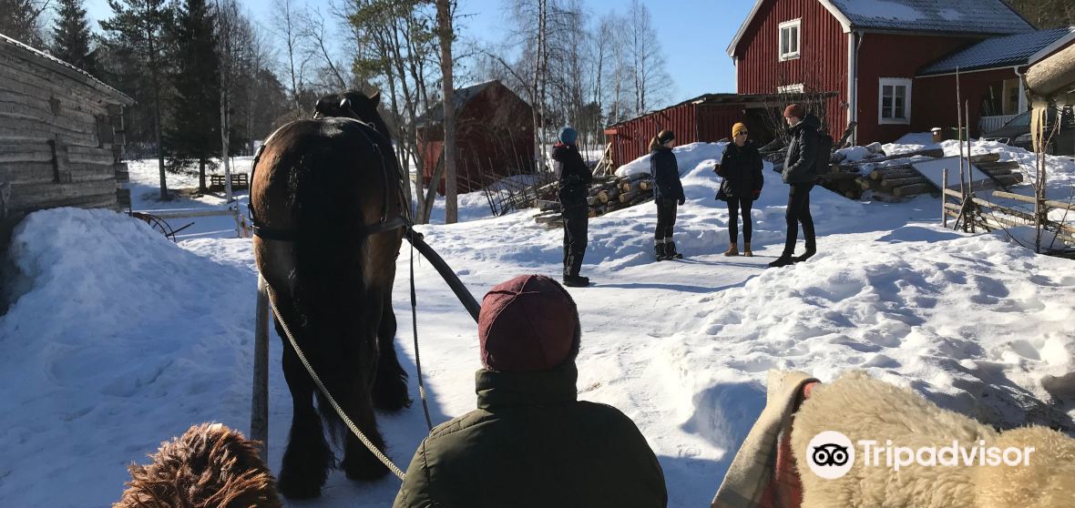 Things to Do in Bjurholm in 2024 - Top Attractions, Local Food, Hotels ...