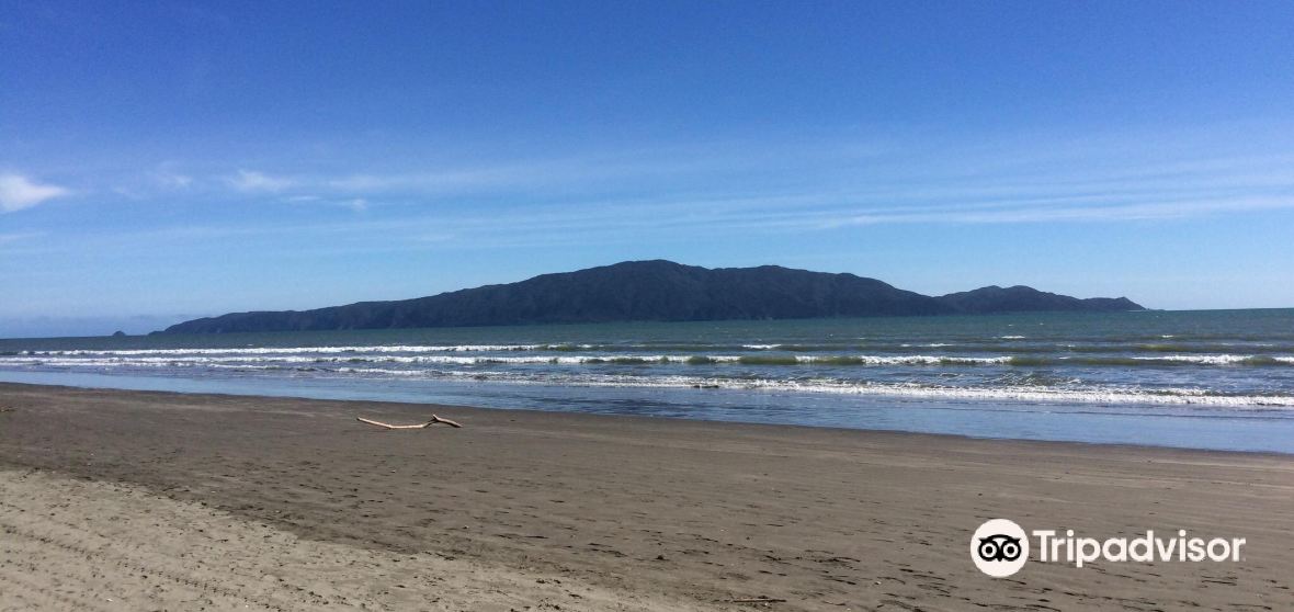 Things to Do in Peka Peka in 2024 - Top Attractions, Local Food, Hotels ...