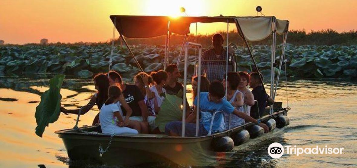 คู่มือเที่ยวRodigoด้วยตัวเอง (2025): สุดยอดกิจกรรมน่าสนใจใกล้คุณ ...