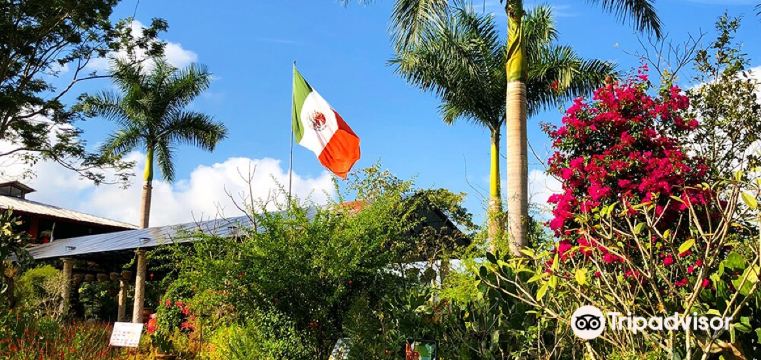 Things to do in Cabo Corrientes (2025): Top nearby activities,popular ...