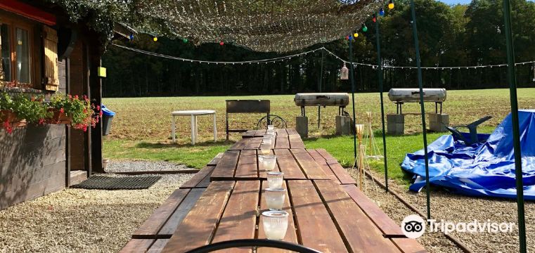 Things to do in Libermont (2025): Top nearby activities,popular ...