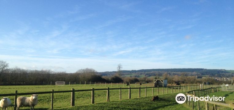 Arlingham Travel Guide 2026: Top Attractions, Things to Do & Deals ...