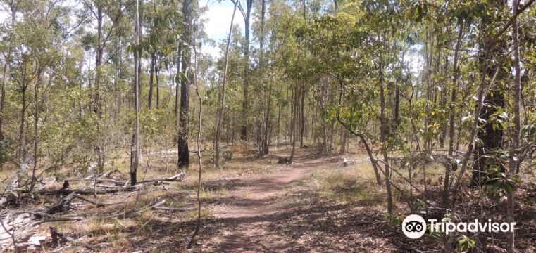 เที่ยวBooyal (2024) - ที่เที่ยวใน Booyal, กิจกรรมสนุกๆ, โรงแรม ...