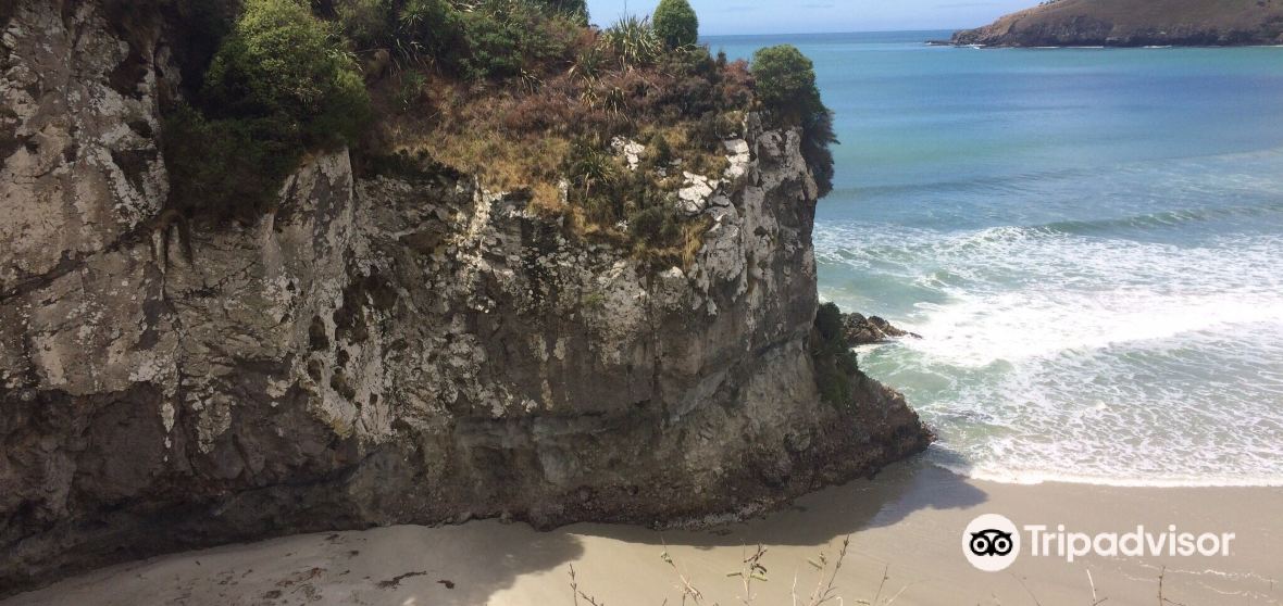 แนะนำการเดินทาง Waitati 2023 - สิ่งที่ควรทำ, อาหารที่ควรรับประทาน & ทิป ...