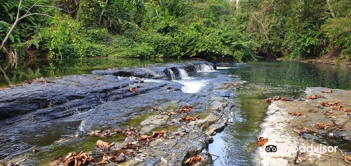 Things to Do in Puerto Inca Province in 2025 - Top Attractions, Local ...