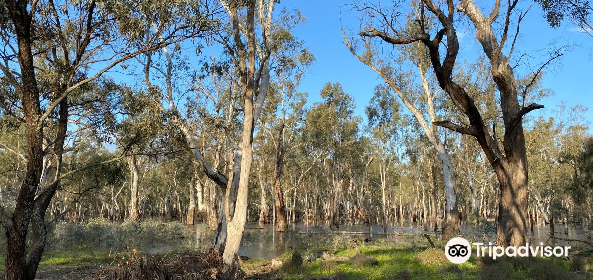 Things to Do in Mathoura in 2025 - Top Attractions, Local Food, Hotels ...