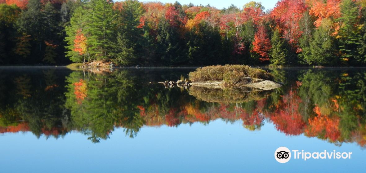 Muskoka Travel Guide 2026: Top Attractions, Things to Do & Deals | Trip ...