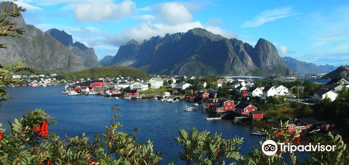 Moskenes Travel Guide 2024 - Things to Do, What To Eat & Tips | Trip.com