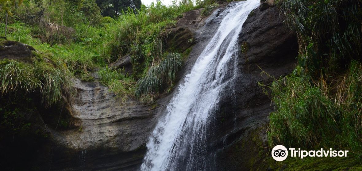 Things to Do in Mount Moritz in 2025 - Top Attractions, Local Food ...