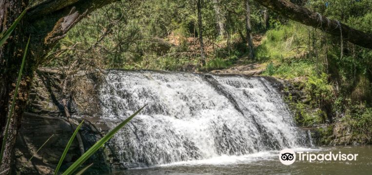 Boolarra Travel Guide 2026: Top Attractions, Things to Do & Deals ...