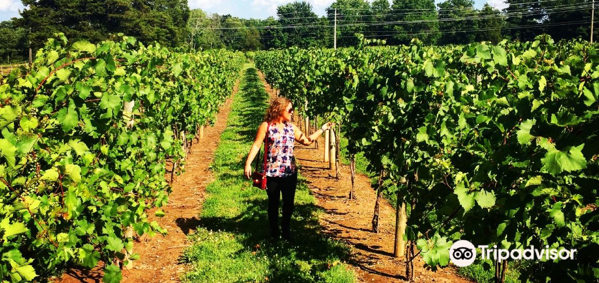 Things to do in Buckingham Township (2025): Top nearby activities ...