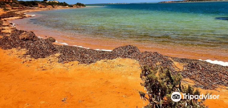 Things to Do in Dorre Island in 2024 - Top Attractions, Local Food ...