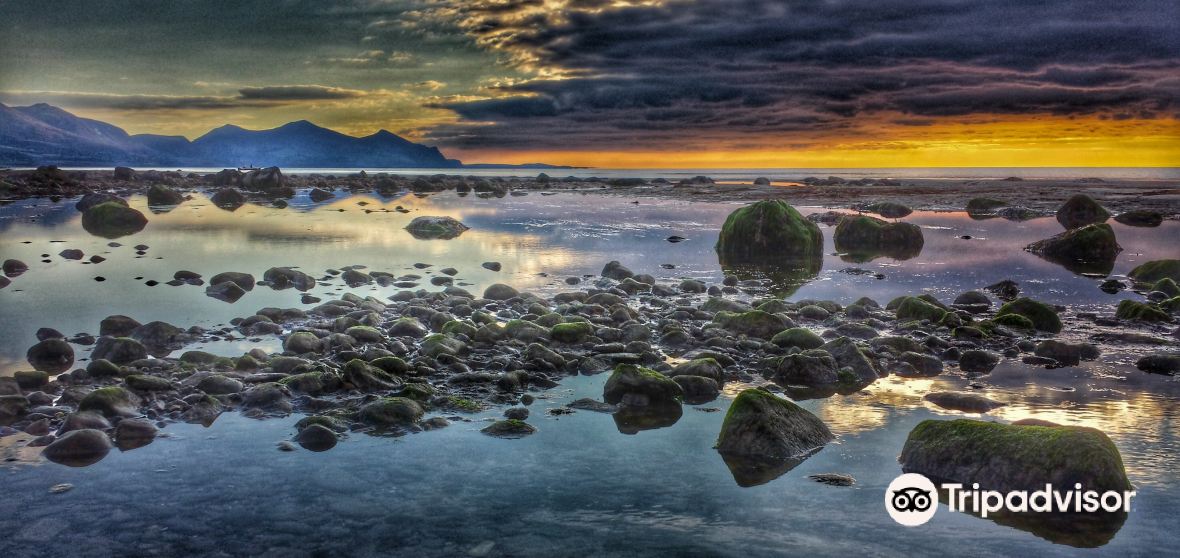 Things to do in Llandwrog (2025): Top nearby activities,popular ...