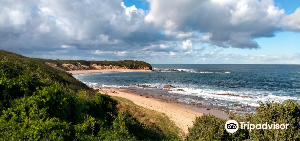 Things to Do in Kilcunda in 2024 - Top Attractions, Local Food, Hotels ...