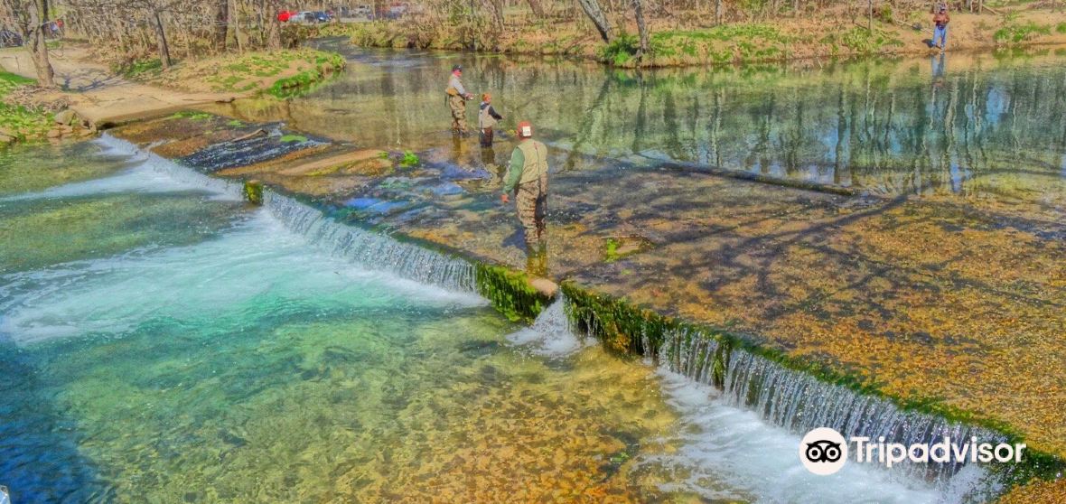 Things to Do in Dent County in 2025 - Top Attractions, Local Food ...