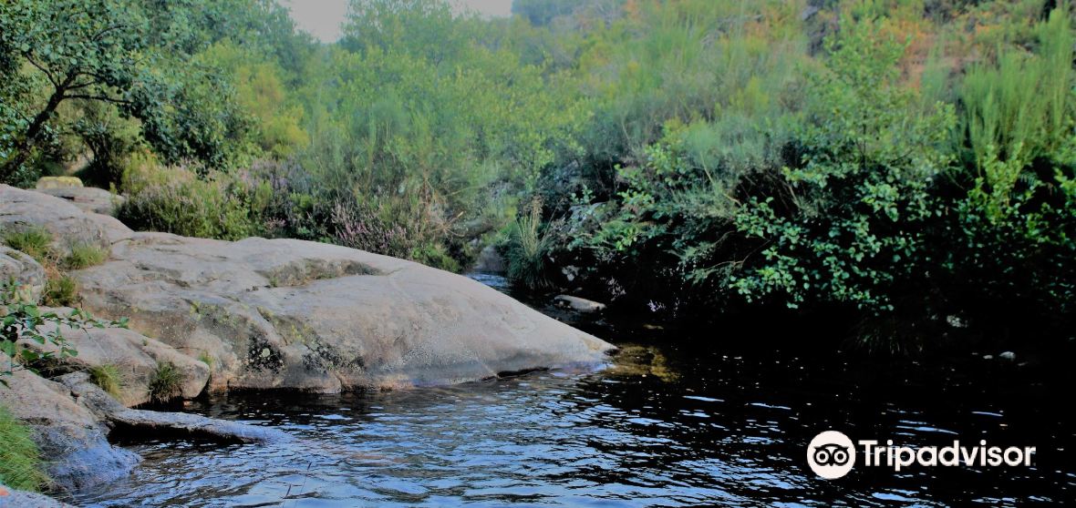 Salto Travel Guide 2026: Top Attractions, Things to Do & Deals | Trip ...