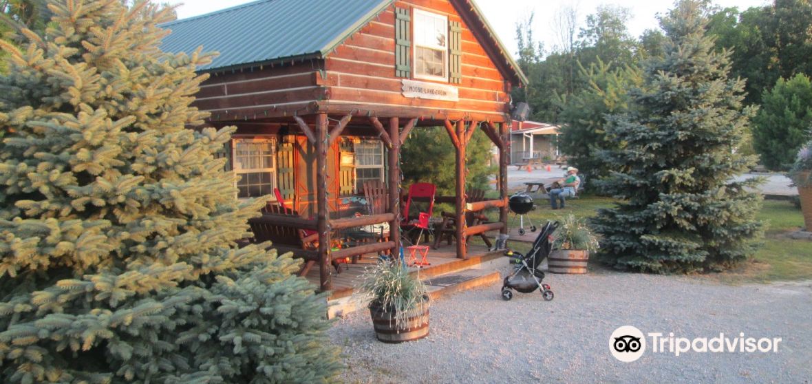 Things to Do in Laotto in 2024 - Top Attractions, Local Food, Hotels ...