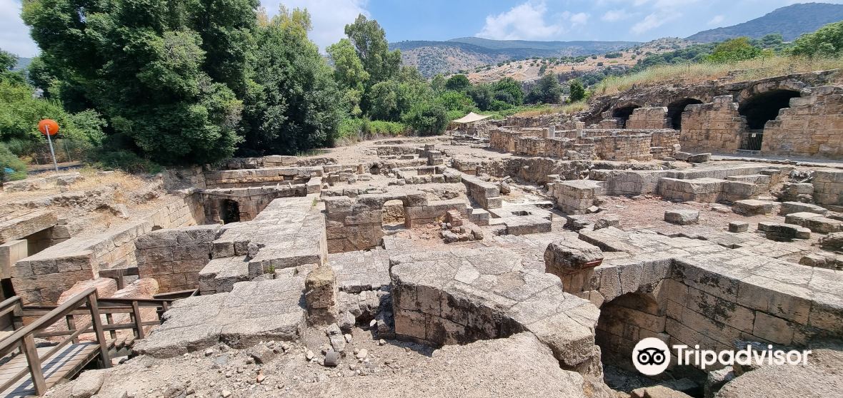 Things to Do in Snir in 2024 - Top Attractions, Local Food, Hotels ...