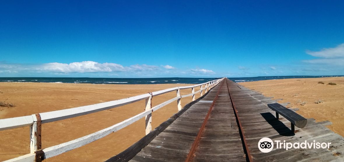 Things to Do in Babbage Island in 2025 - Top Attractions, Local Food ...