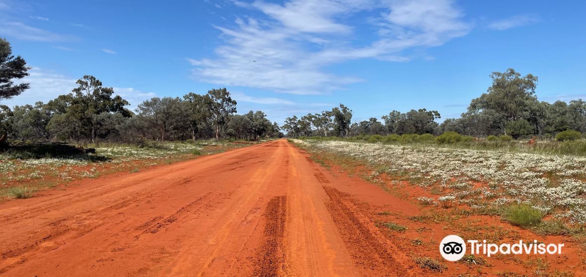 Things to Do in Bourke in 2025 - Top Attractions, Local Food, Hotels ...