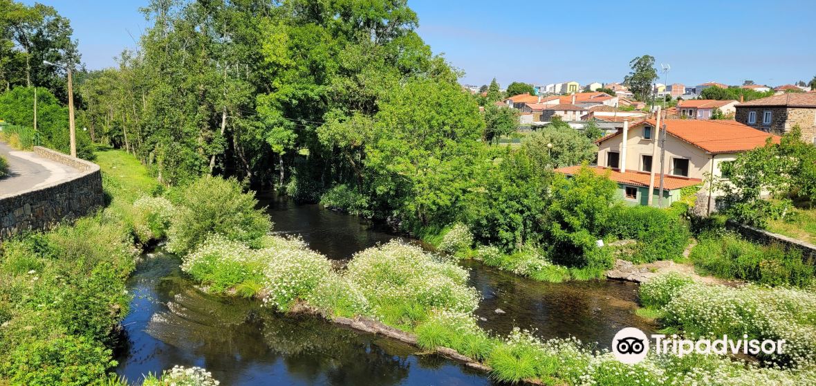 Things to Do in Melide in 2025 - Top Attractions, Local Food, Hotels ...