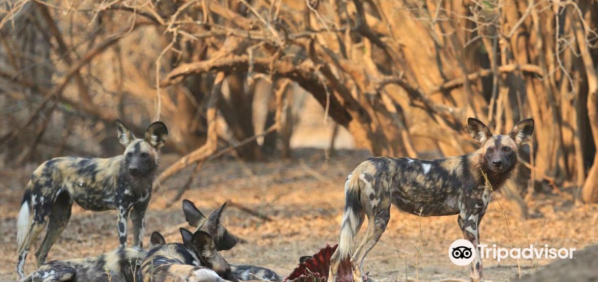 Things to Do in Hurungwe in 2024 - Top Attractions, Local Food, Hotels ...