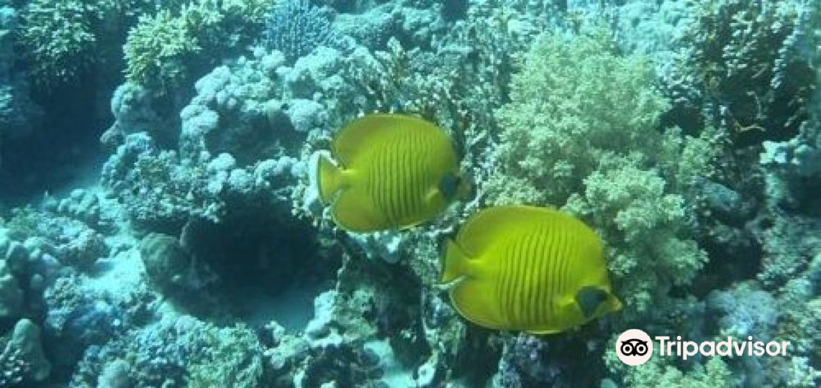 เที่ยวEl Hadaba (2024) - ที่เที่ยวใน El Hadaba, กิจกรรมสนุกๆ, โรงแรม ...