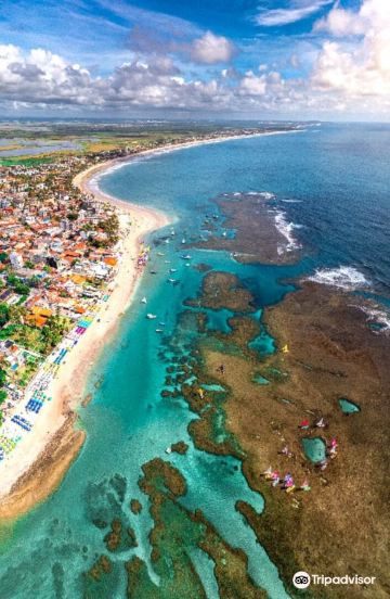 10 Best Ipojuca Beach Hotels | Trip.com