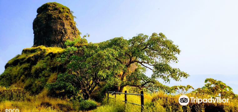 Kalamboli Travel Guide 2024 - Things to Do, What To Eat & Tips | Trip.com