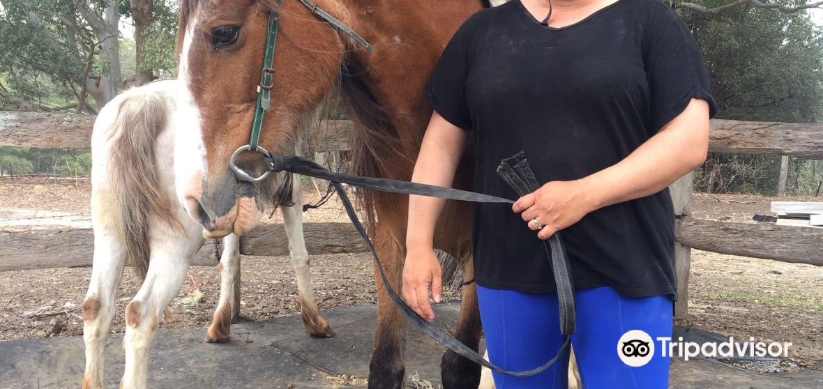 Termeil Travel Guide 2023 - Things to Do, What To Eat & Tips | Trip.com