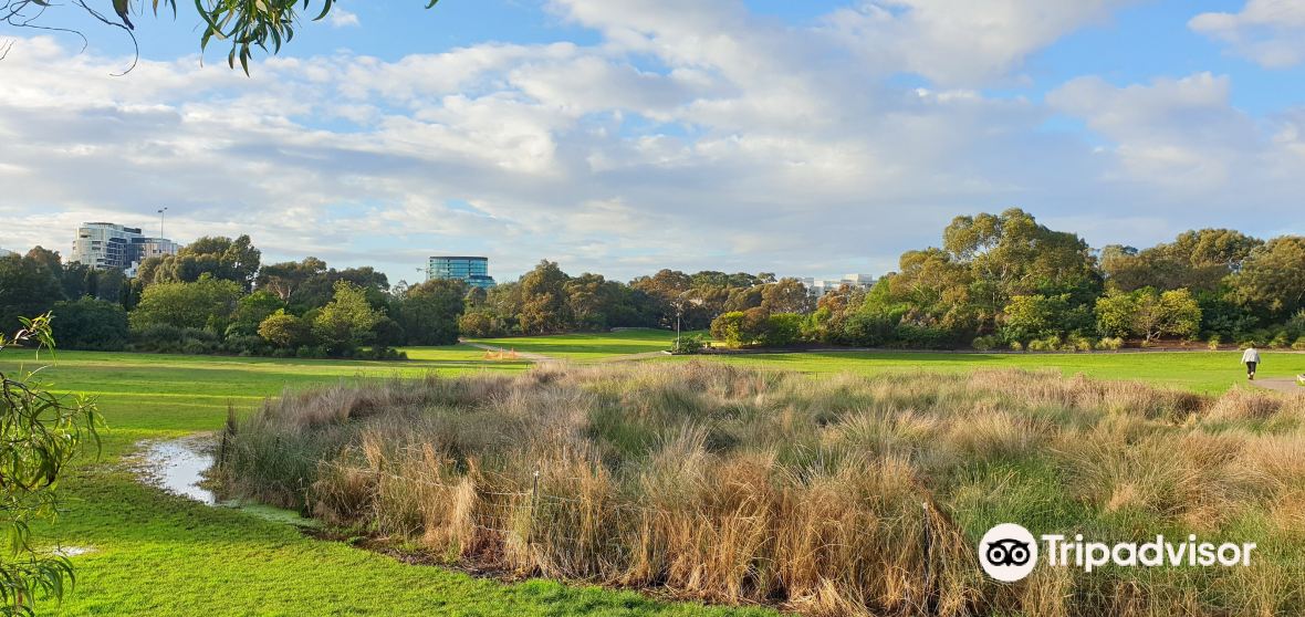 Things to do in Hawthorn East (2025): Top nearby activities,popular ...