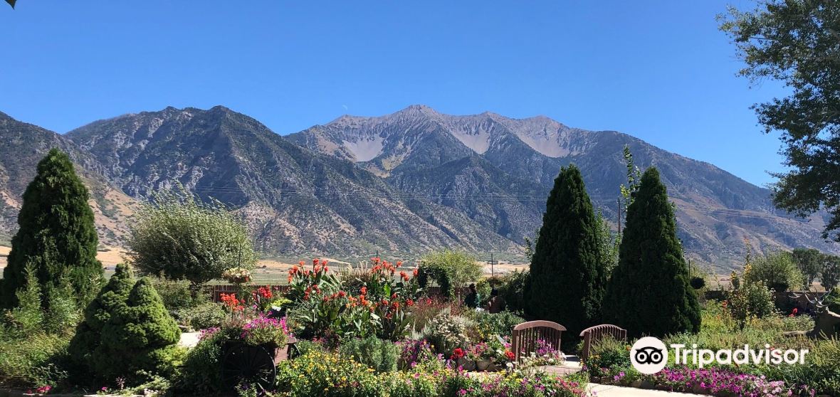 Things to Do in Juab County in 2024 - Top Attractions, Local Food ...